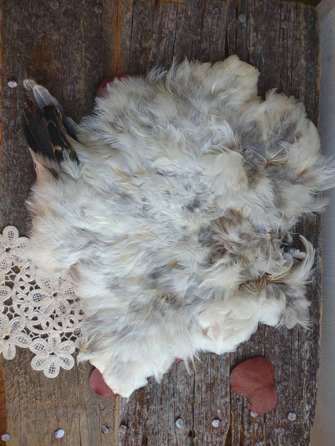 Deathtaxusa 8 Real Animal Poultry Chicken Rooster Body Feathers Pelt ...