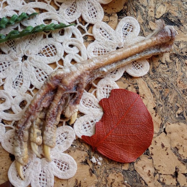Hoodoo Chicken Feet - Etsy