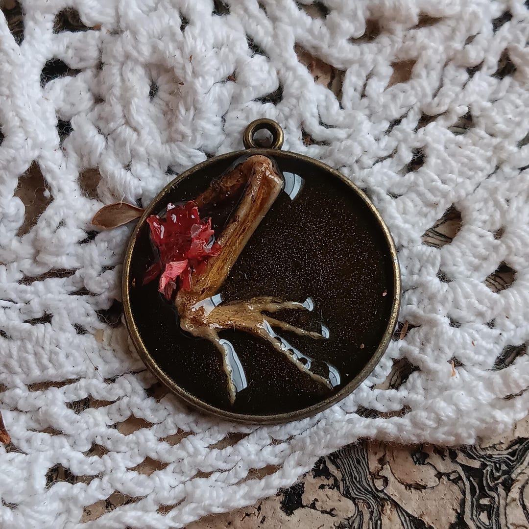 Deathtaxusa 3390 Real Animal Mummified Gecko Lizard Leg Pendant Reptile ...
