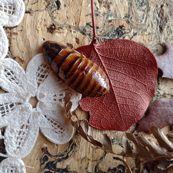 Cockroach - Etsy