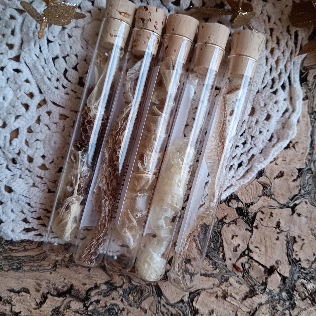 Deathtaxusa 3467 Glass Vial Collection Snake Skin Shed Curiosity Set ...