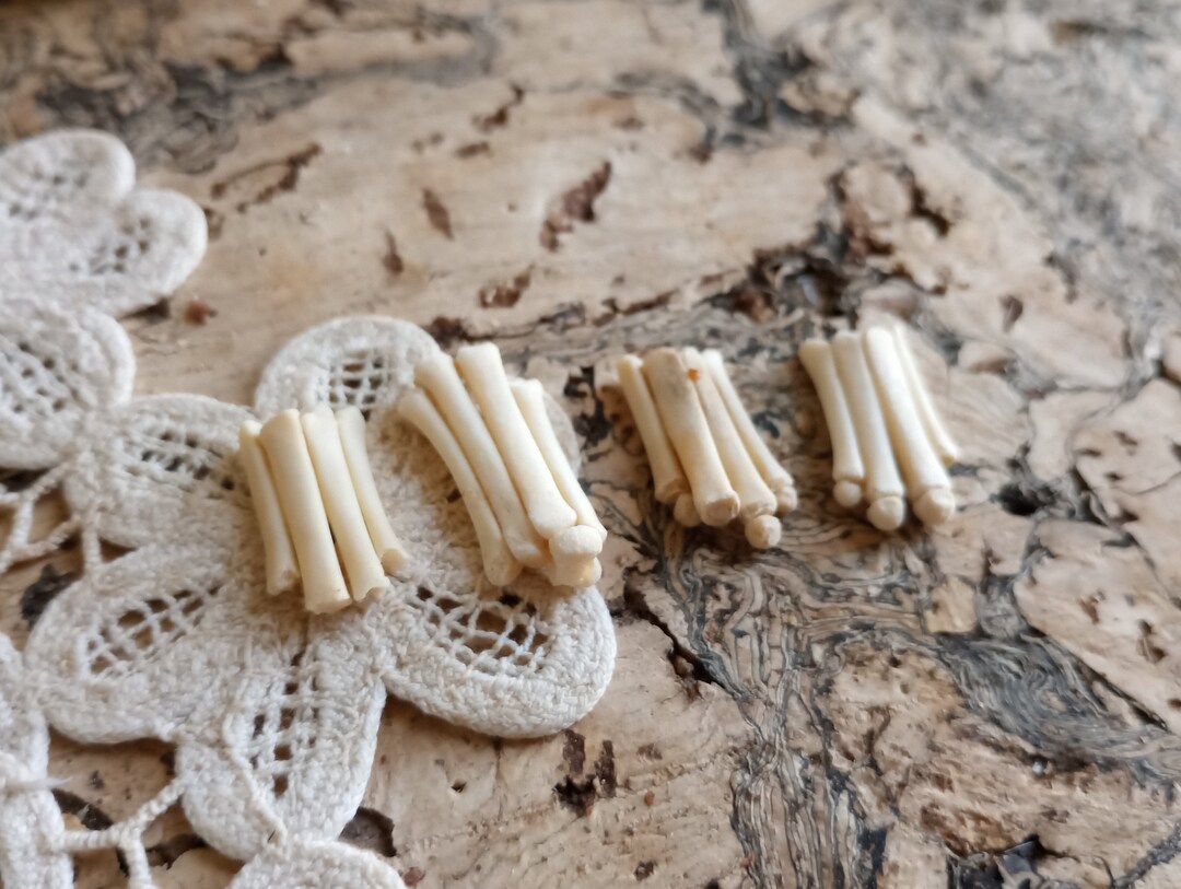 Deathtaxusa • #2786 - Real Animal Paw Paws Bones Bone Pair Set | Mammal ...