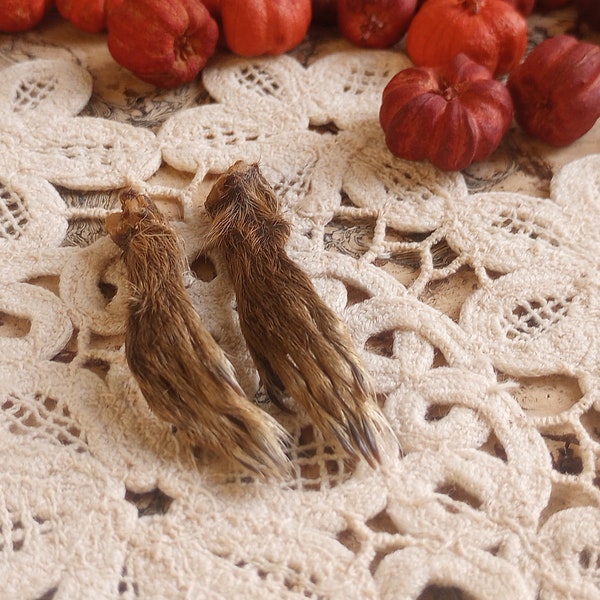 Squirrel Feet - Etsy