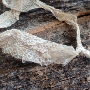 Deathtaxusa • #49 - 35" Copperhead Venomous Snake Skin Shed Molt ...