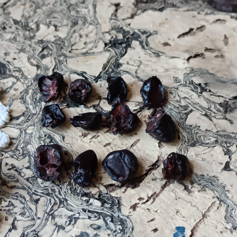 Deathtaxusa • #A10 - Real Animal Domestic Rat Mummified Dried Heart ...
