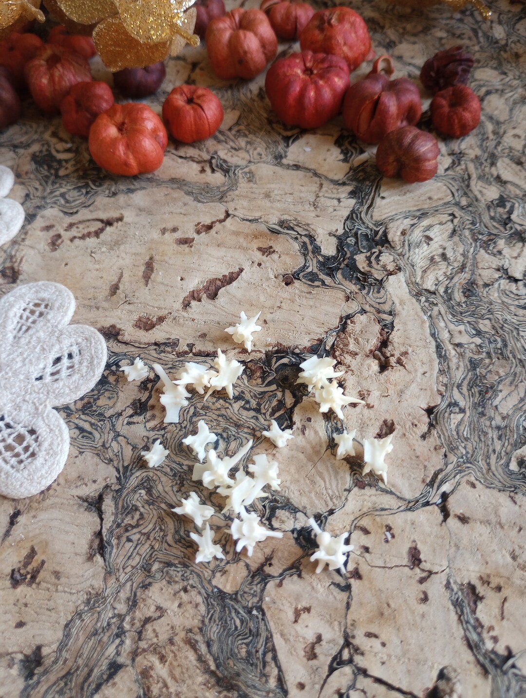 Deathtaxusa • #2517 - Real Animal Rattlesnake Rattler Snake Vertebrae ...