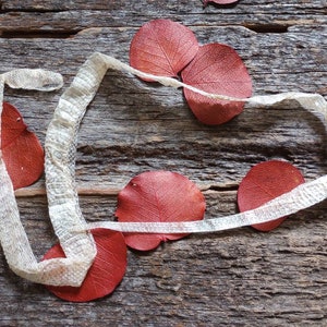 Deathtaxusa 38 32 Kingsnake King Snake Skin Shed Molt Serpent Reptile ...