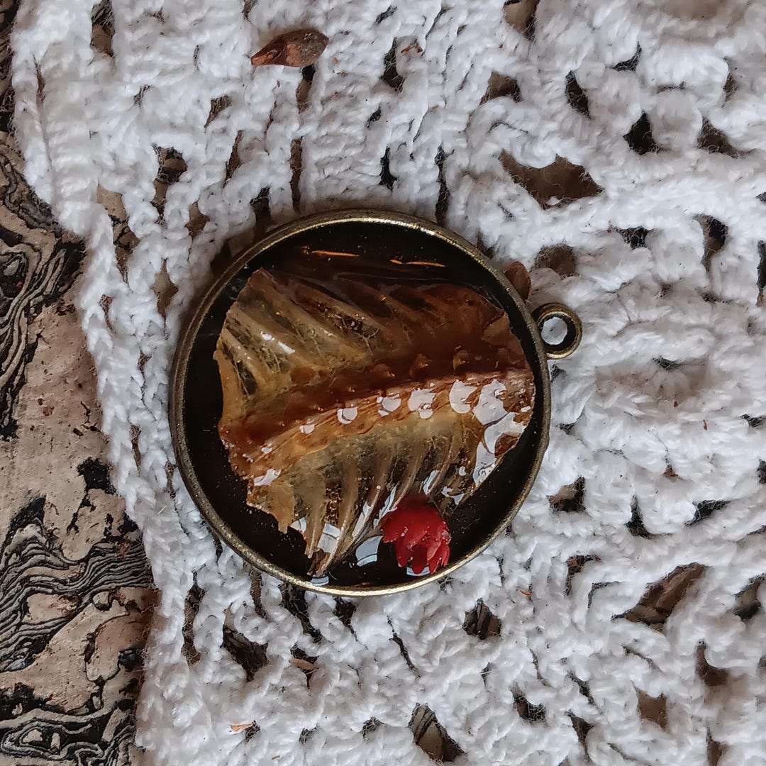 Deathtaxusa • #3392 - Real Animal Mummified Gecko Lizard Ribcage ...