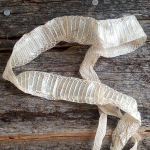 Deathtaxusa • #49 - 35" Copperhead Venomous Snake Skin Shed Molt ...