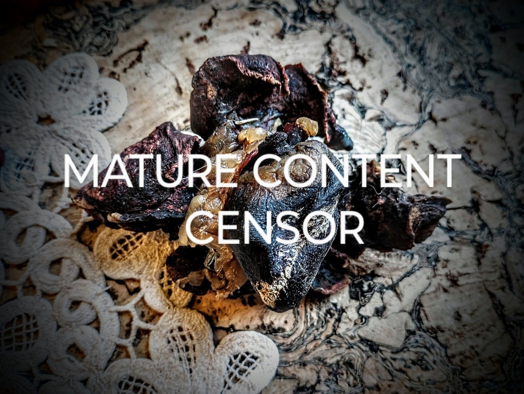 Deathtaxusa 1670 Real Animal Mummified Dried Raccoon Badger Heart Lungs ...