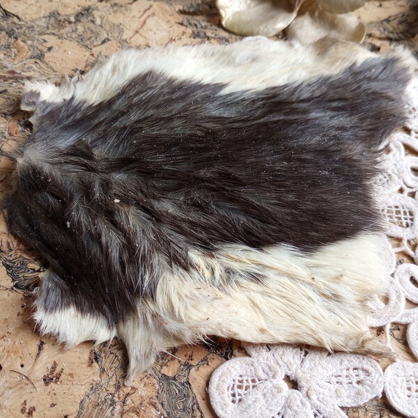 Real Skin Pelt - Etsy