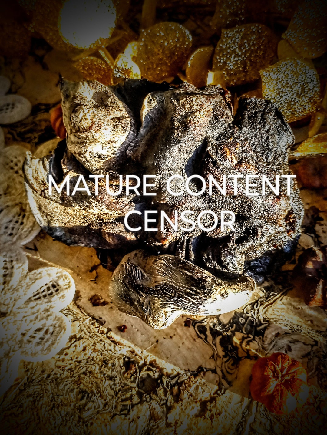 Deathtaxusa 2888 Real Animal Mummified Dried Raccoon Badger Heart Lungs ...