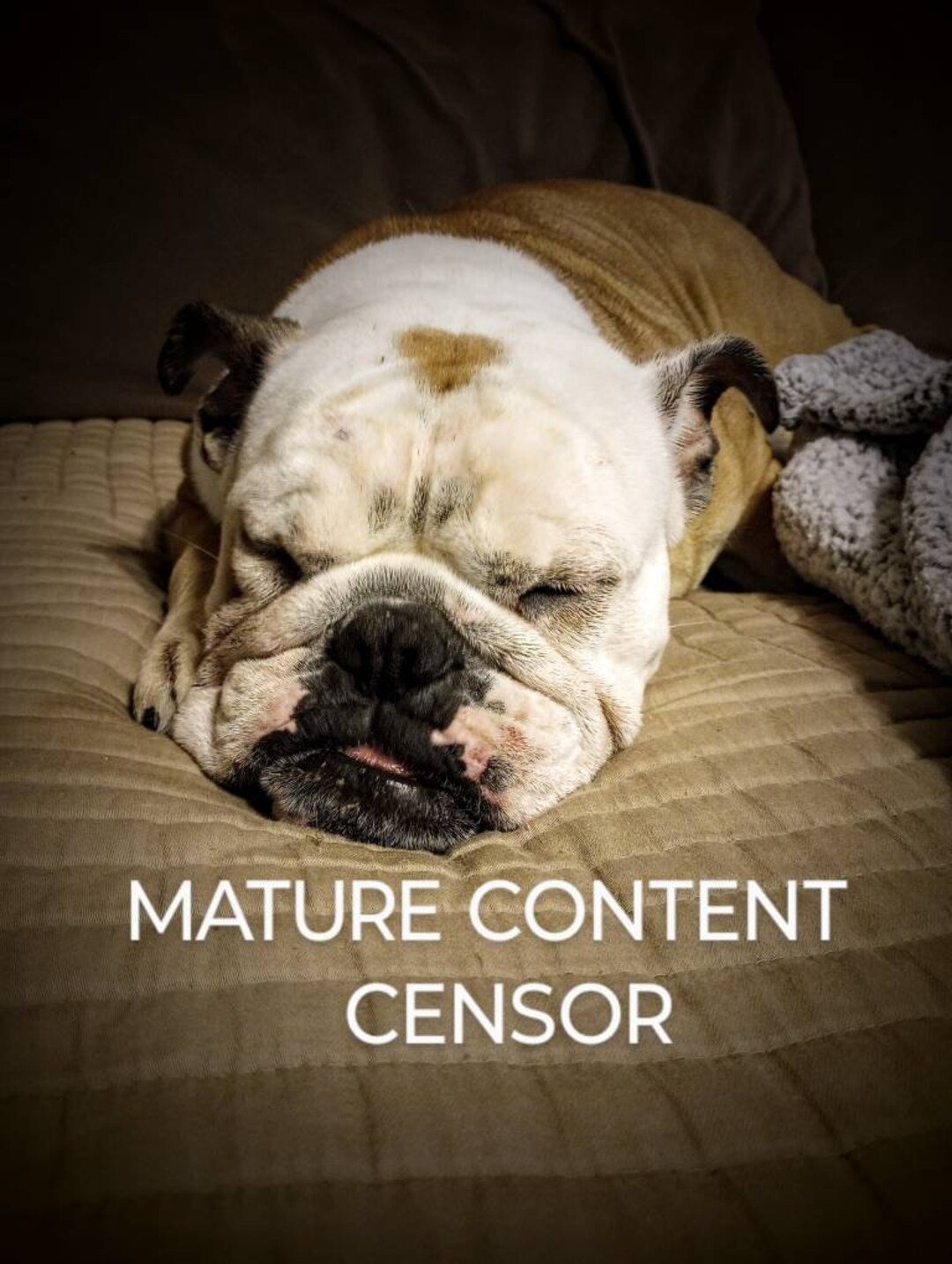 Deathtaxusa 175 Real Animal Mummified Real Snake Heart Serpent Reptile ...