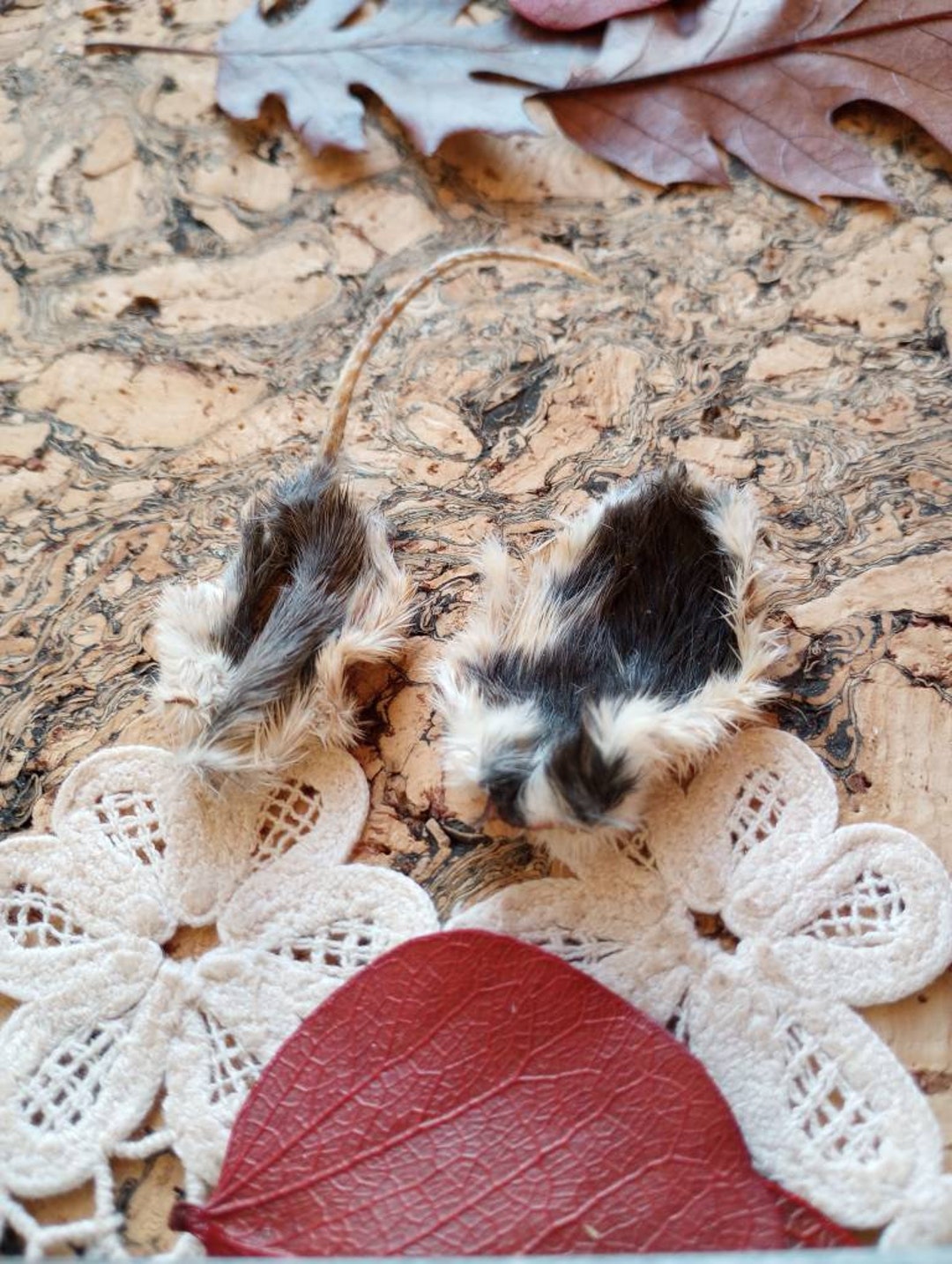 Deathtaxusa 1479 Real Dried Fancy Black Rodent Mouse Skin Pelt Skinned ...