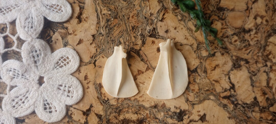 Deathtaxusa • #2033 - Real Animal Scapula Shoulder Bone Pair | Bones ...