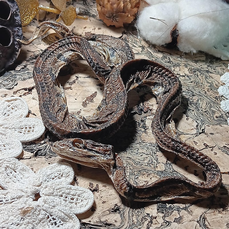 Boa Constrictor - Etsy