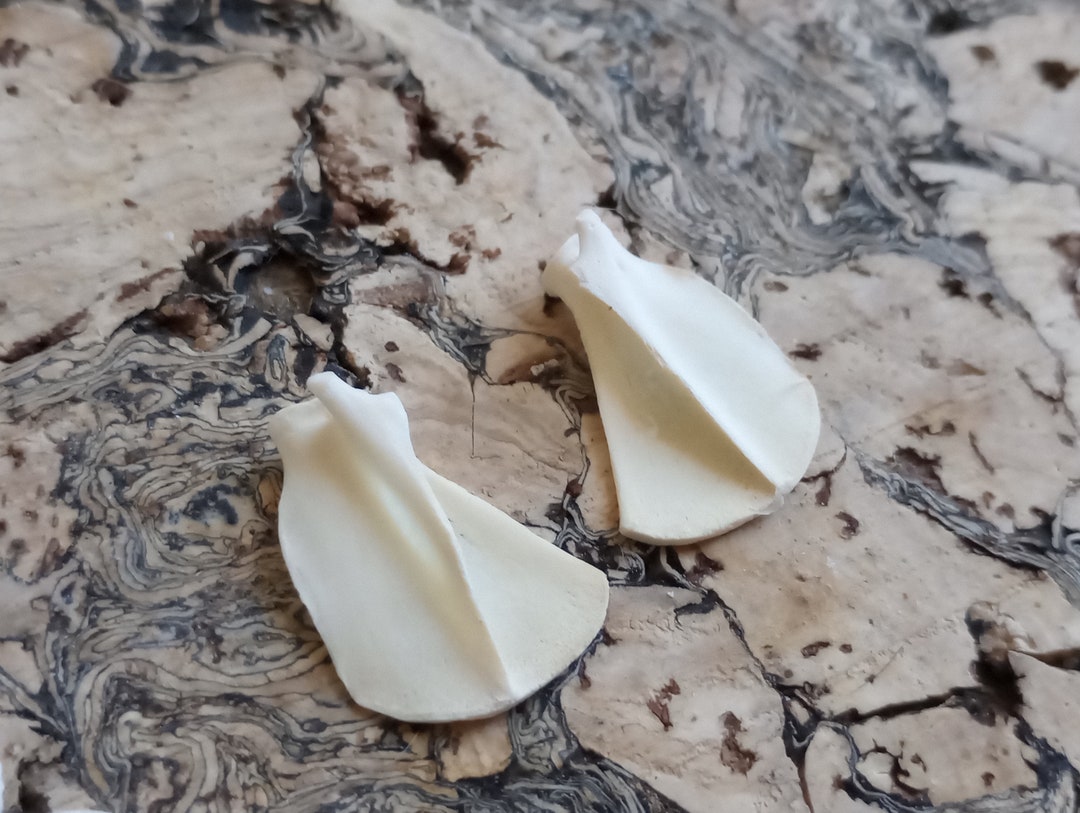 Deathtaxusa • #1640 - Real Animal Scapula Shoulder Bone Pair | Bones ...