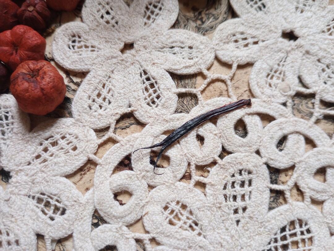 Deathtaxusa 2542 Real Animal Mummified Real Snake Tongue Serpent ...