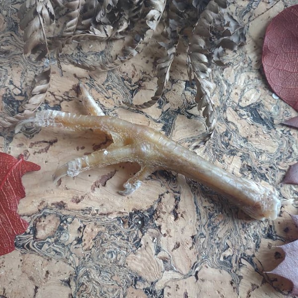 Hoodoo Chicken Feet - Etsy