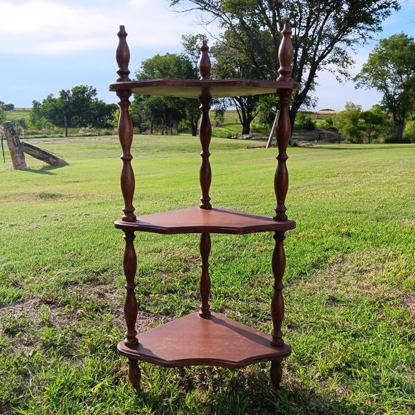 Corner Wall Display Case - Etsy