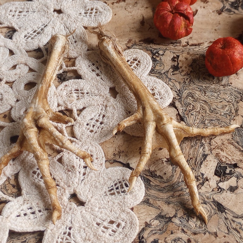 Hoodoo Chicken Feet - Etsy
