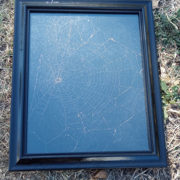 Framed Spider Web - Etsy