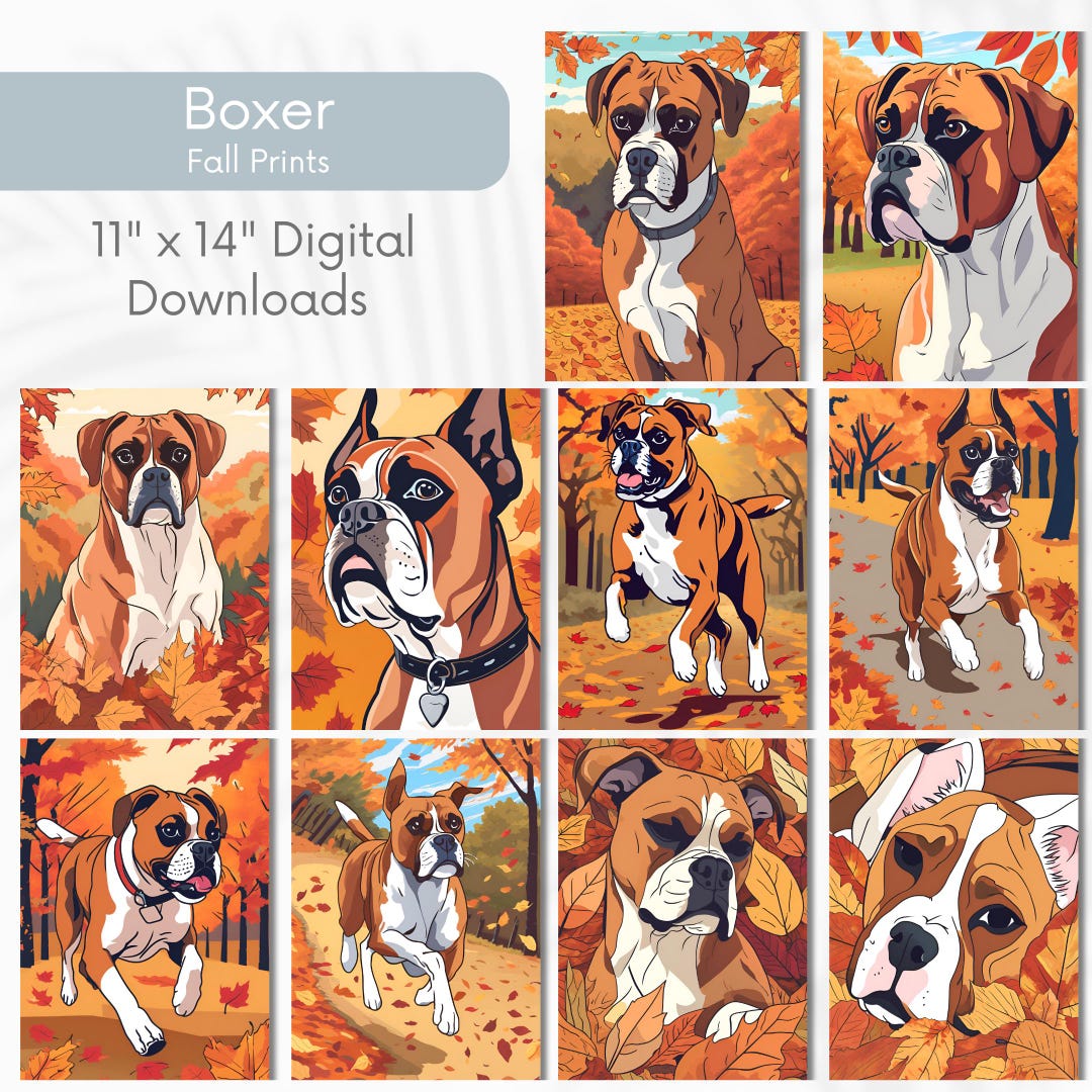 Fall-themed Boxer Art | 11x14 Digital Download | Set of 10 - Etsy