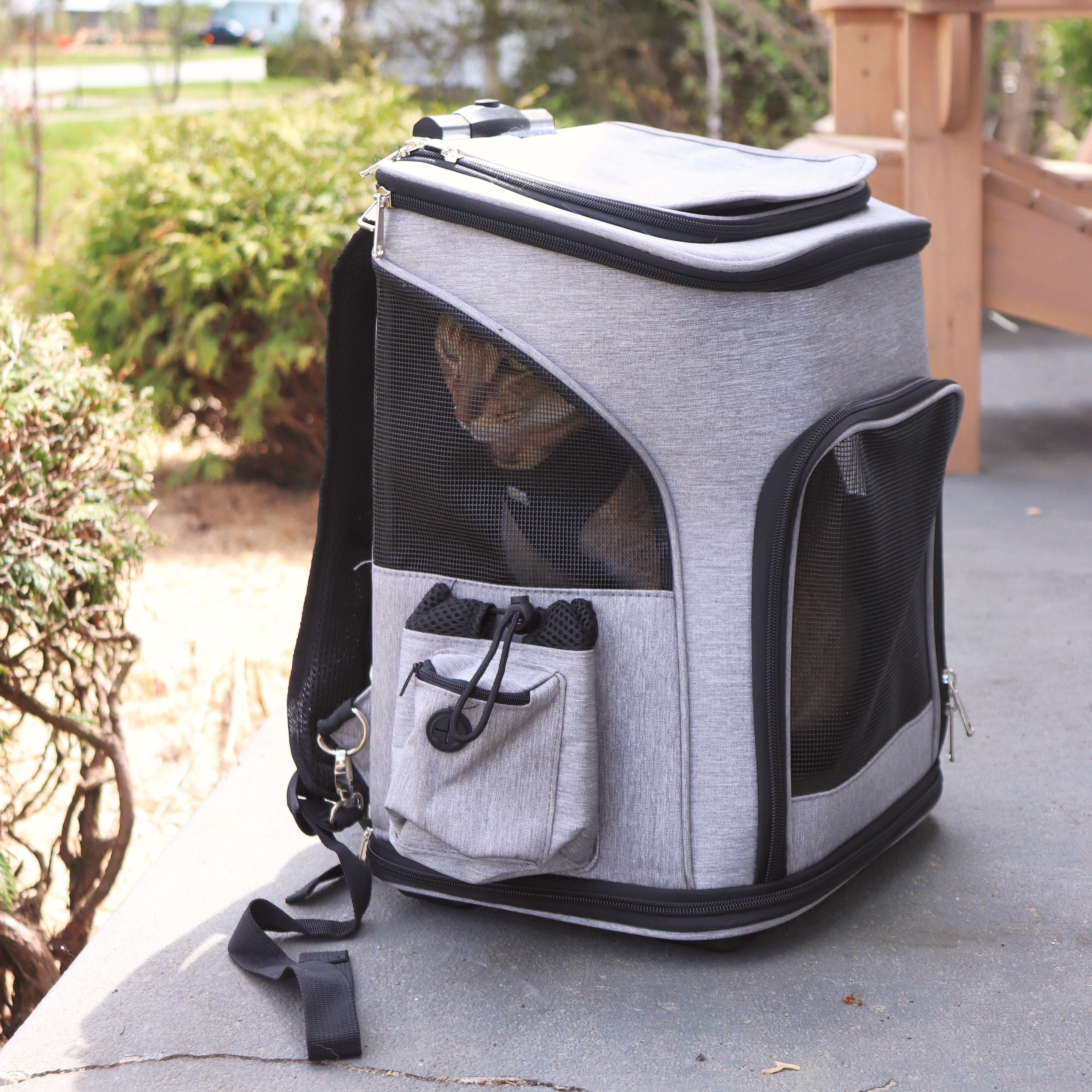 Convertible Pet Backpack Large Dog Backpack Modern Cat - Etsy