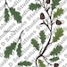 Saltburn Oliver Quick Costume Design - Jacket & Pants (digital Files ...