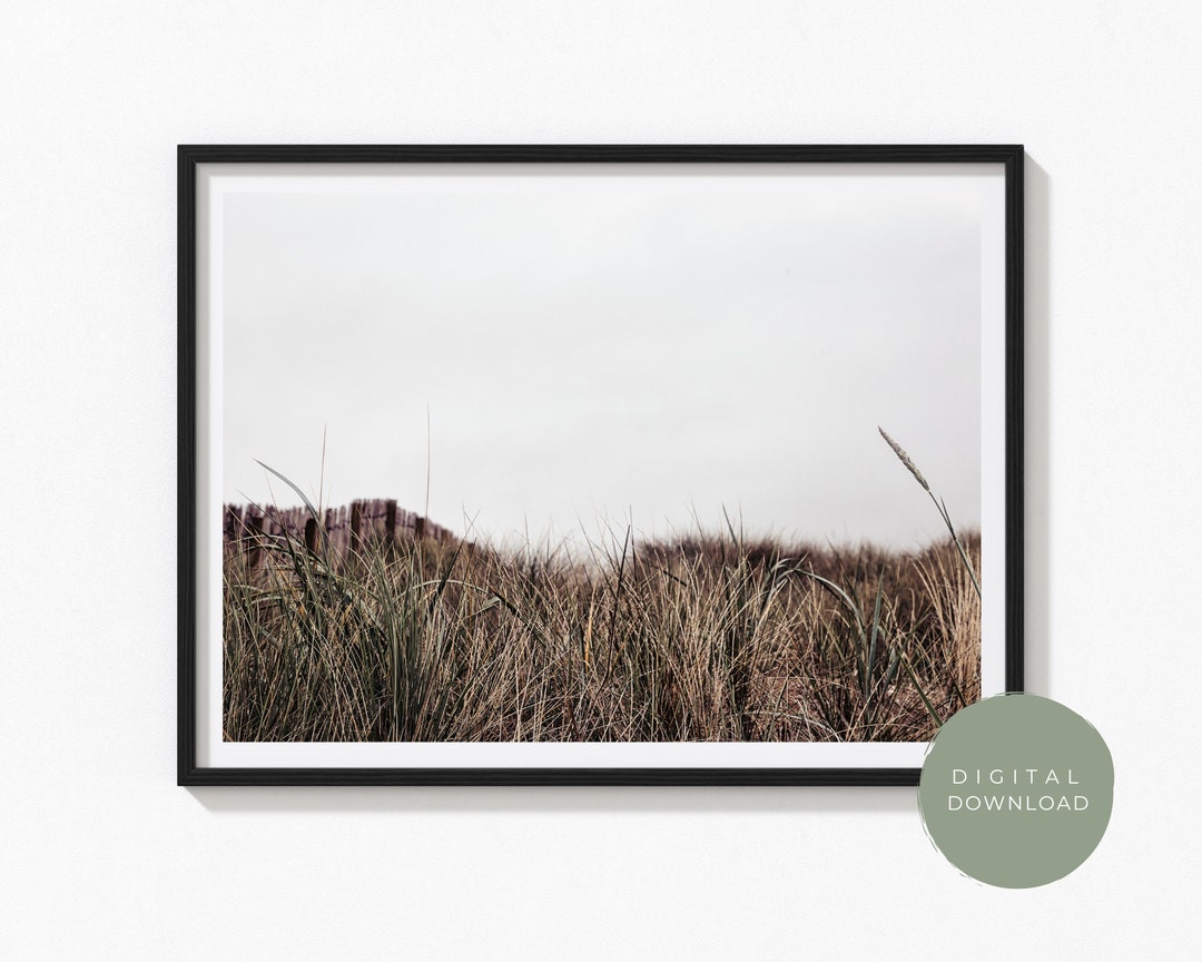 Coastal Beach Seagrass Photography Wall Art Print Digital Download - Etsy