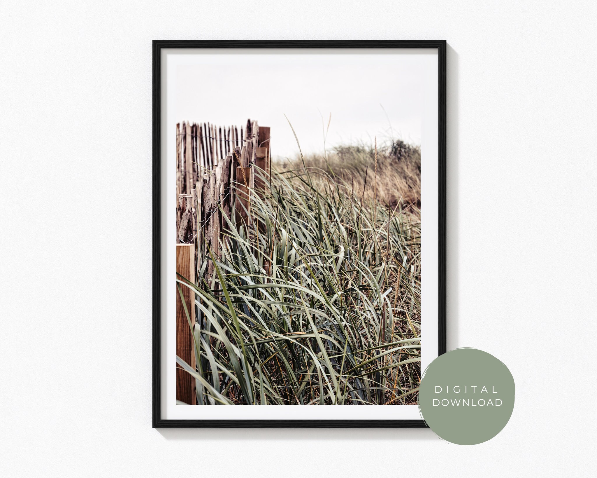 Coastal Beach Seagrass Photography Wall Art Print | Digital Download - Etsy