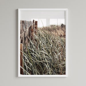 Coastal Beach Seagrass Photography Wall Art Print | Digital Download - Etsy
