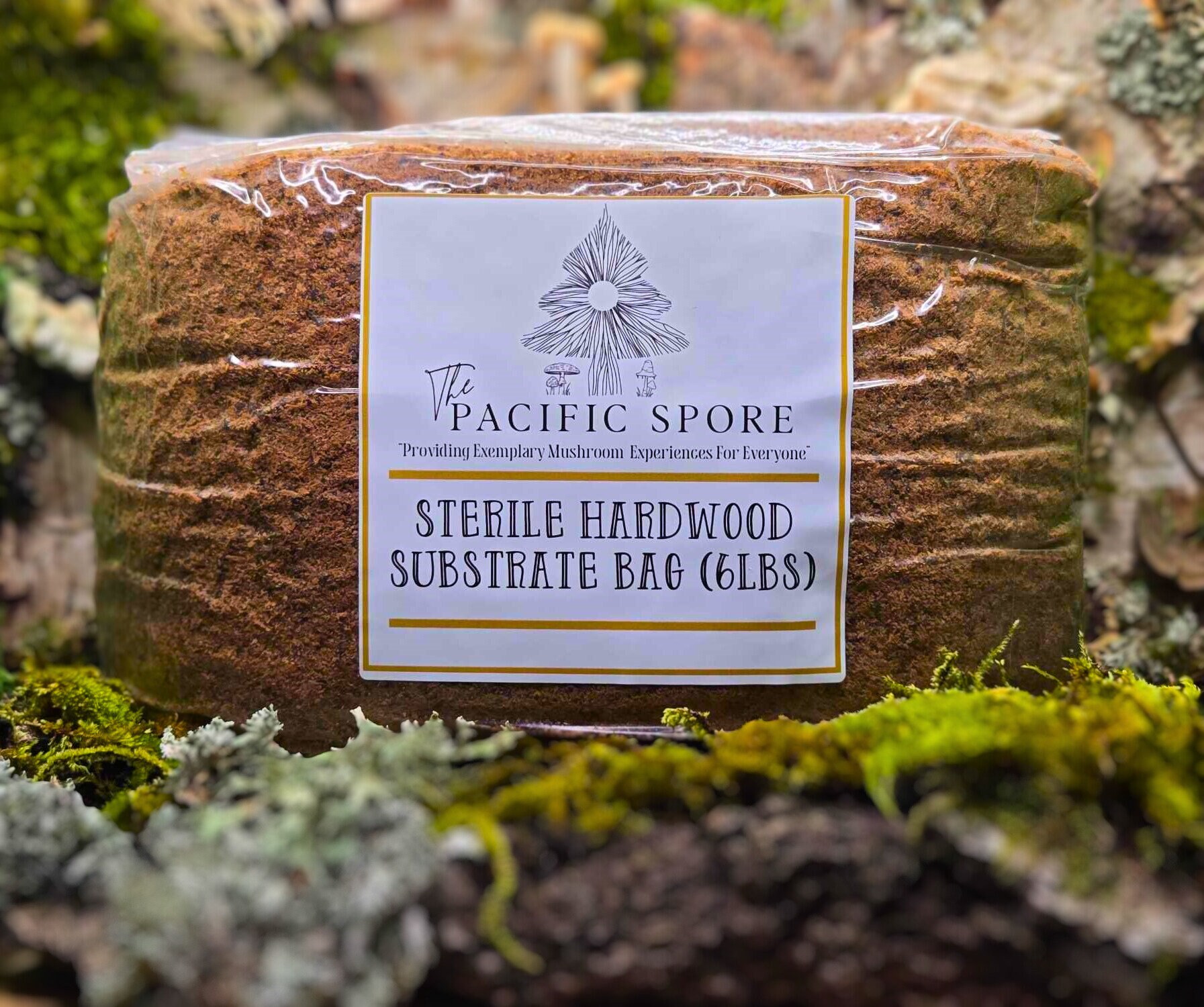 6lb Supplemented Hardwood Mushroom Substrate Bag - Etsy