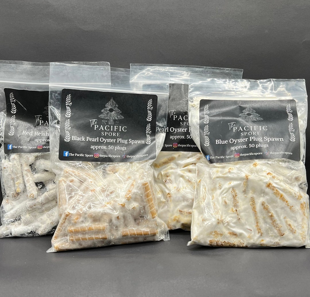 Mushroom Dowel Plug Spawn 2 Pack - Etsy Canada