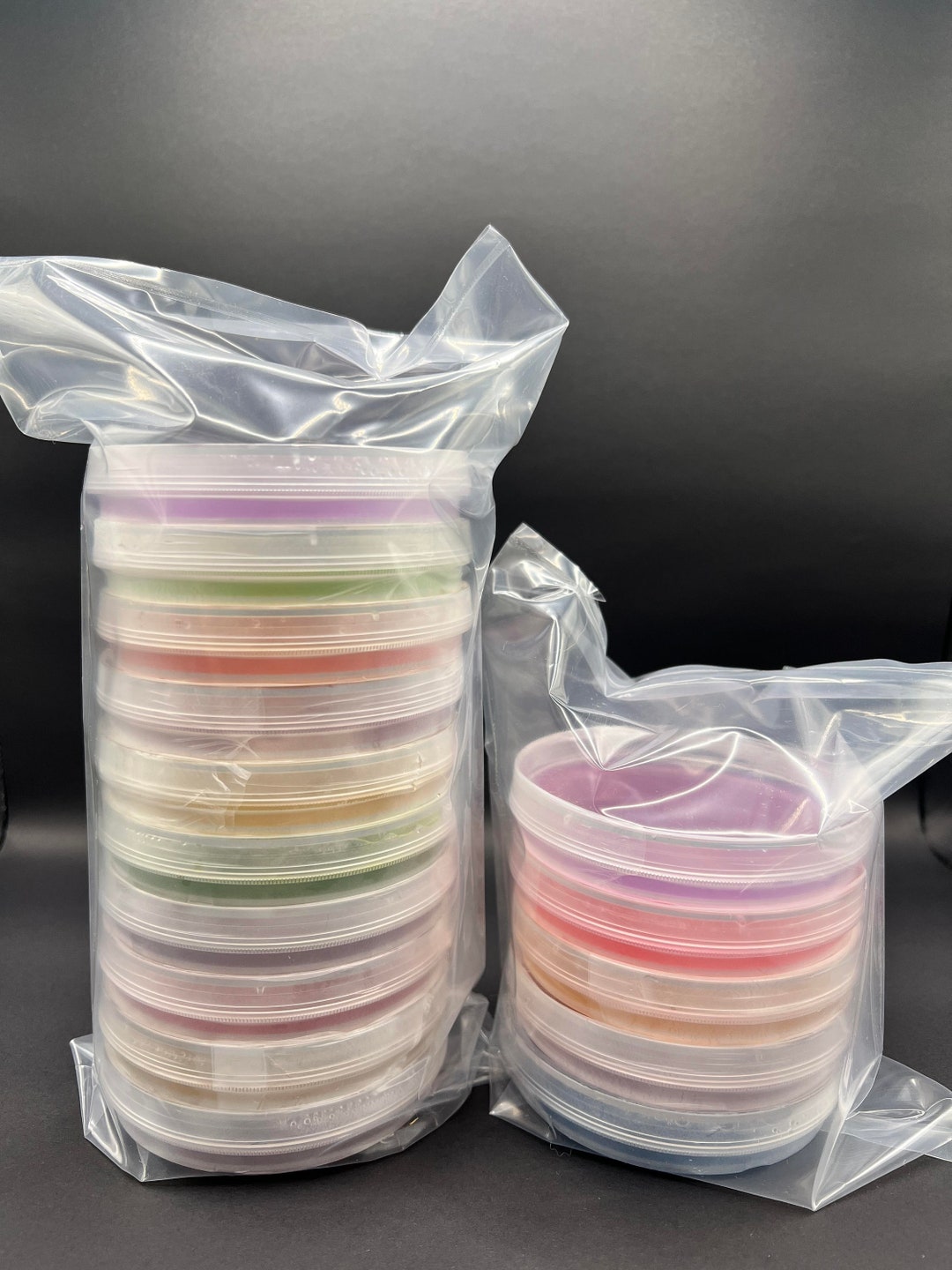 Sterile Agar Plates - Etsy