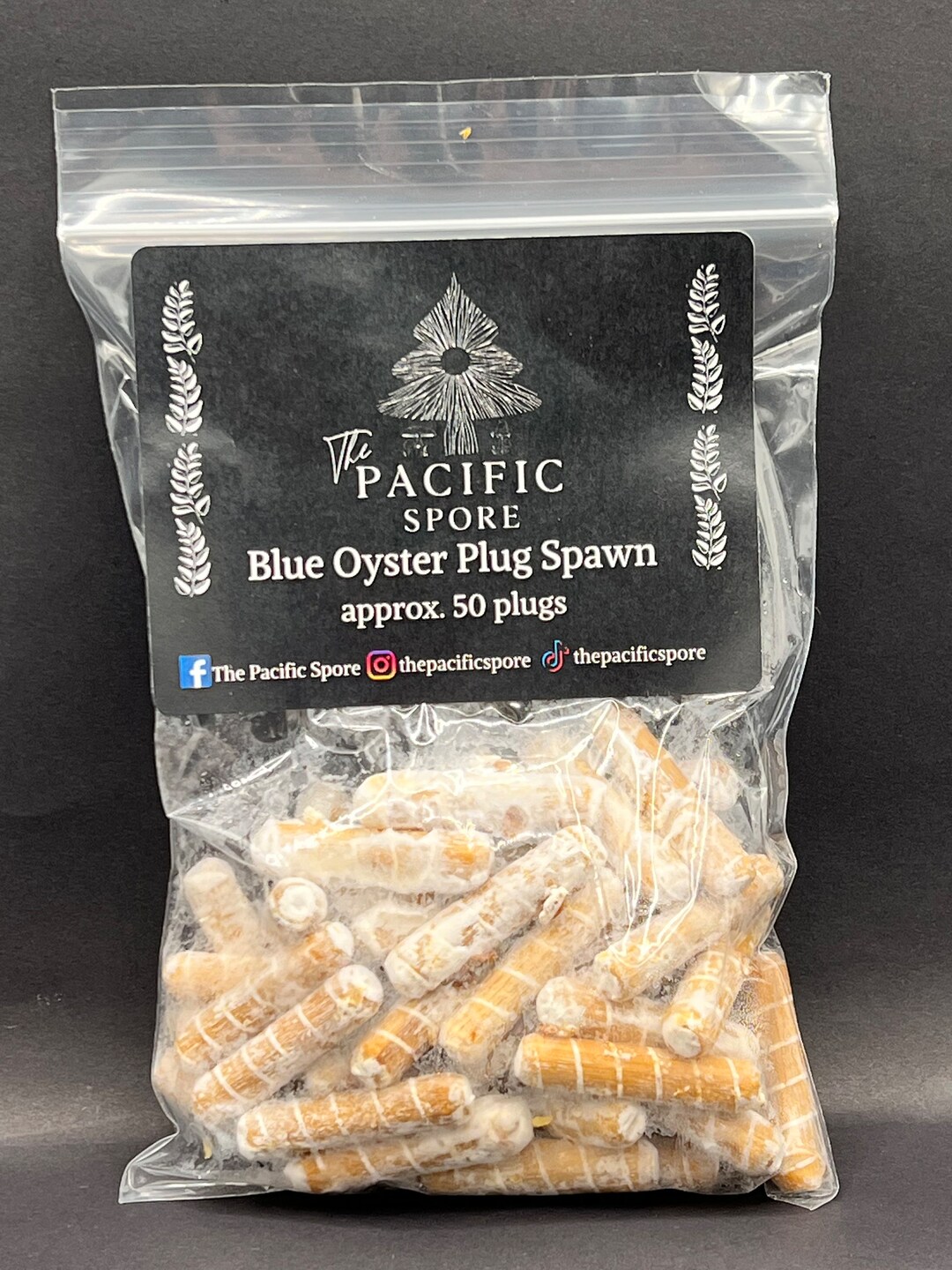 Blue Oyster Mushroom Plug Spawn - Etsy