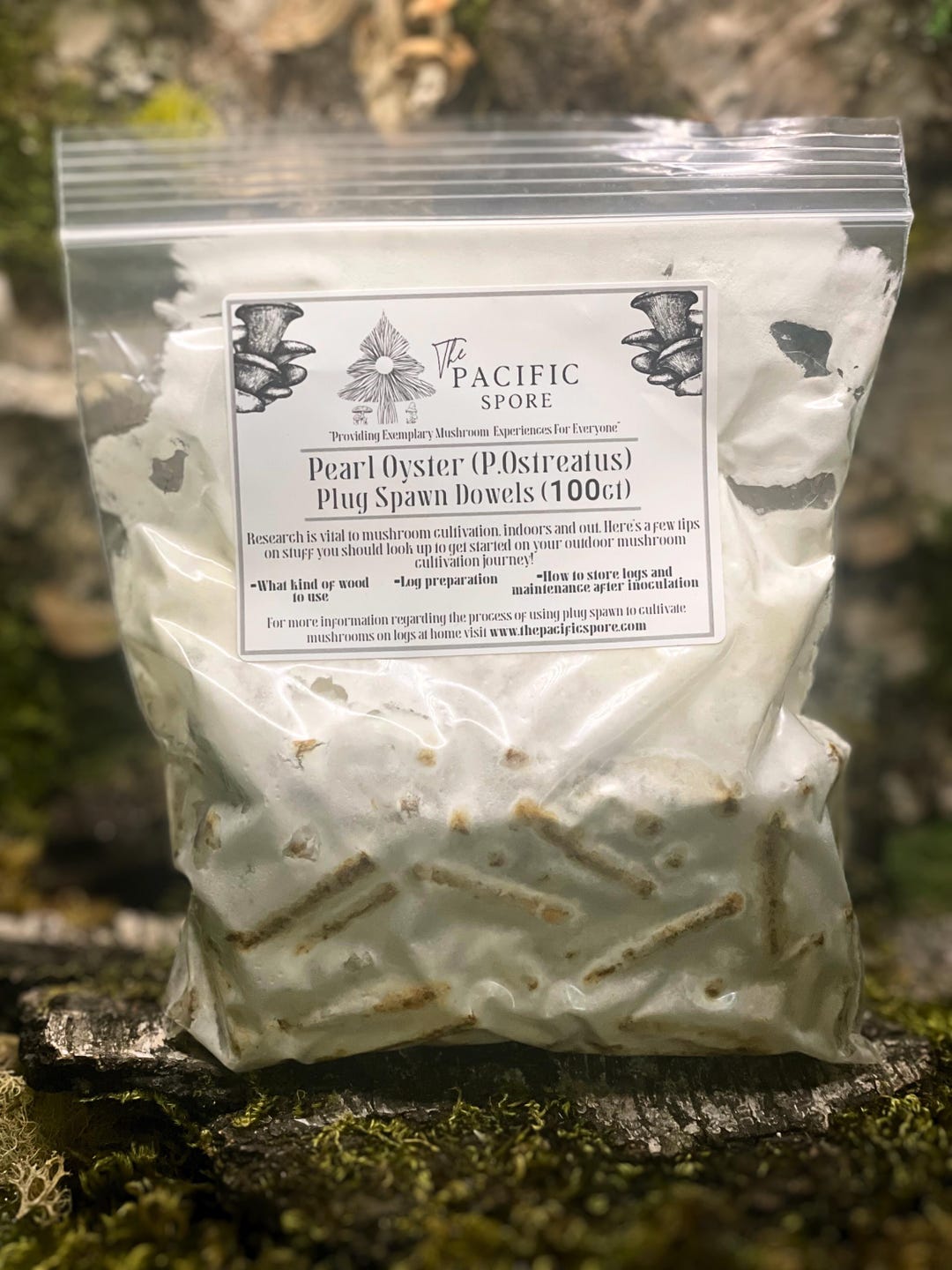 Pearl Oyster Mushroom Dowel Plug Spawn 100 Pack - Etsy