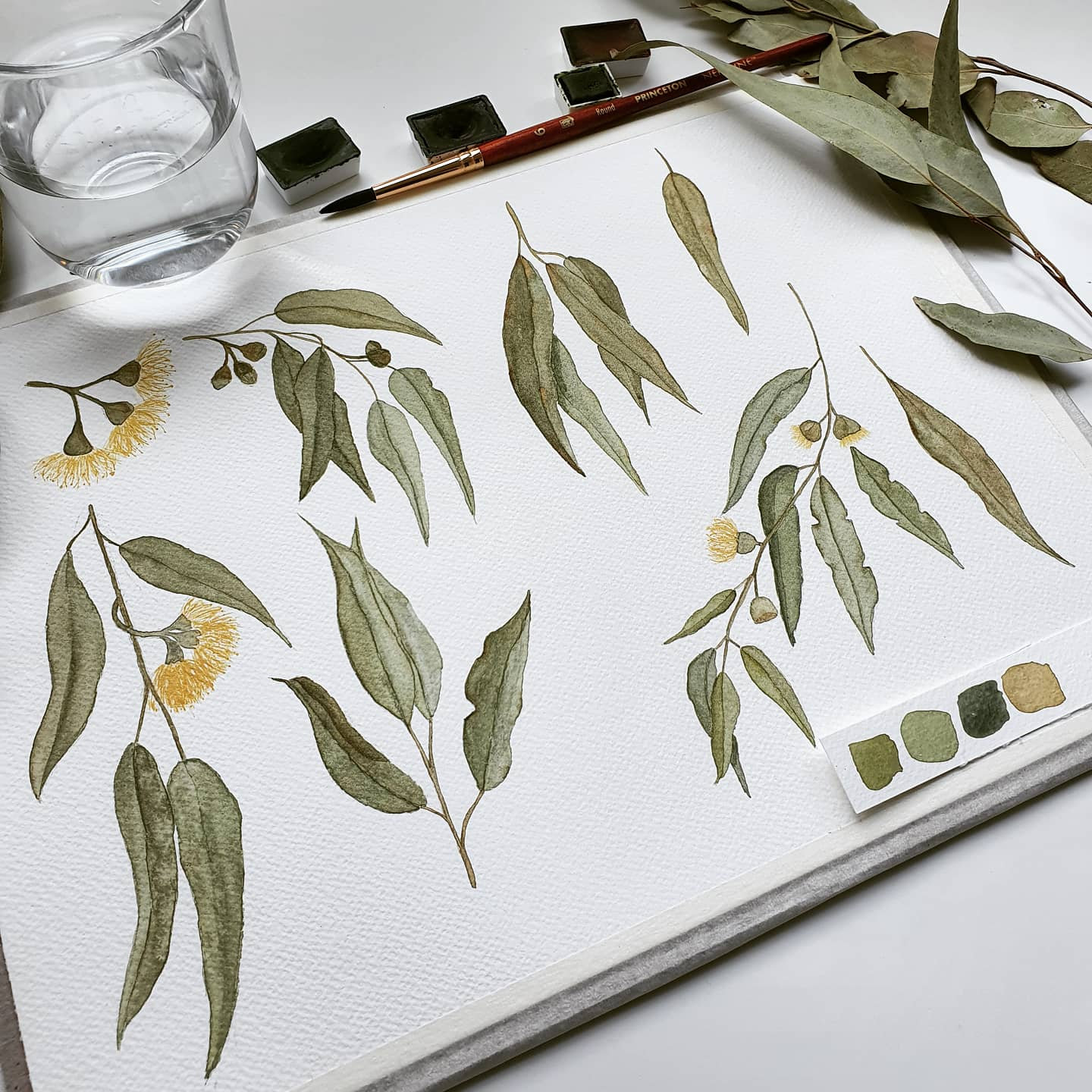 Watercolor Eucalyptus Patterns, Eucalyptus Print, Leaves Digital Paper ...