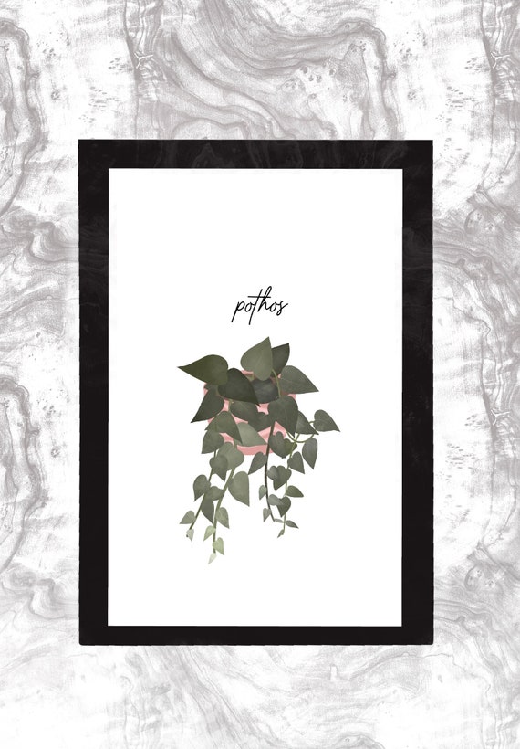 Pothos Digital Art Downloadable Drawing - Etsy