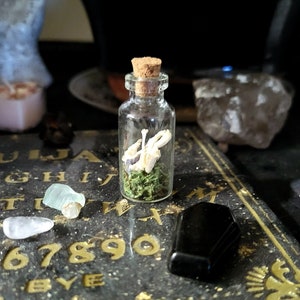 Mini Bone Terrarium | Tiny Glass Jar Oddity | Moss Bones Lavendar ...