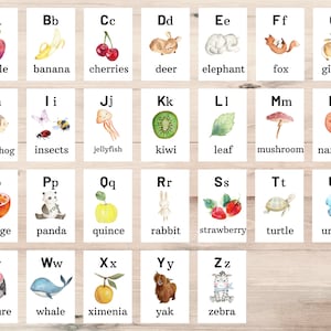 Nature Alphabet Flashcards | Animal ABC Flashcards | Printable ...
