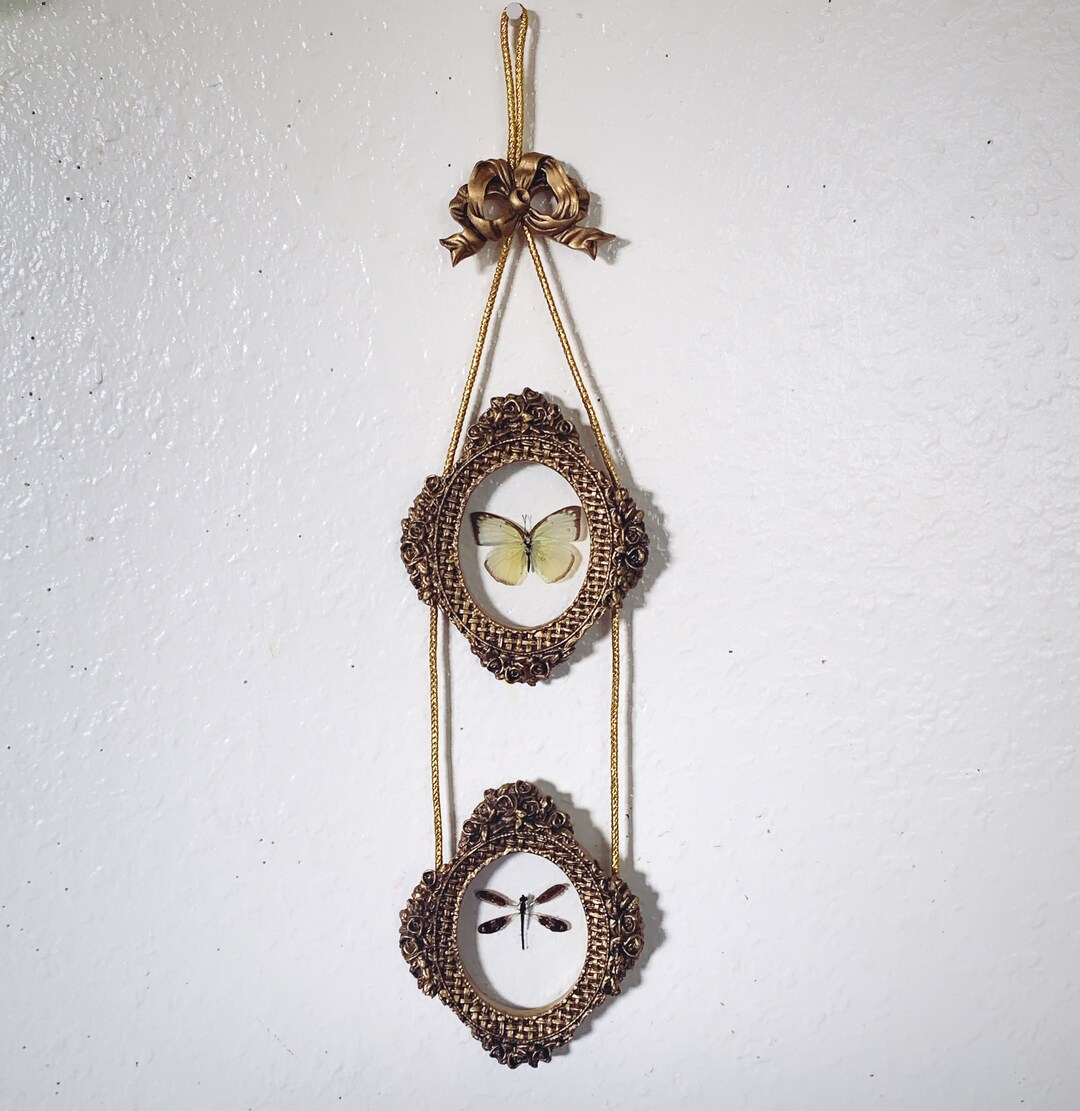 Small Butterfly and Dragonfly Specimen in Gold Toned Double Tier ...