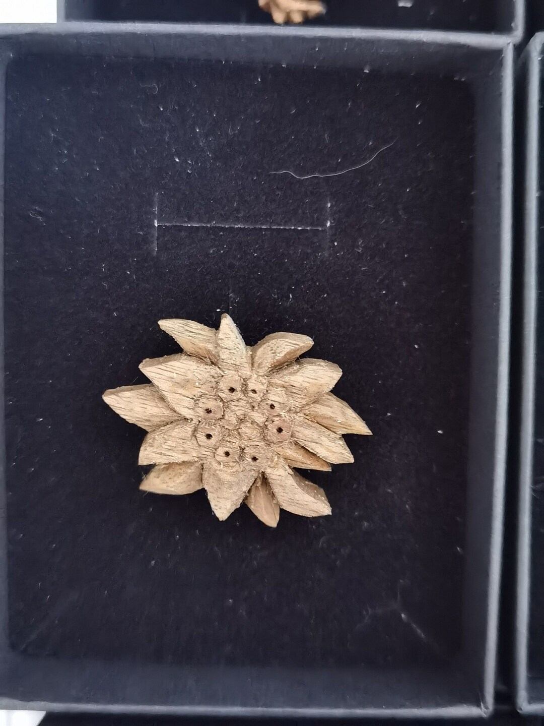 Edelweiss Pin in Walnut - Etsy