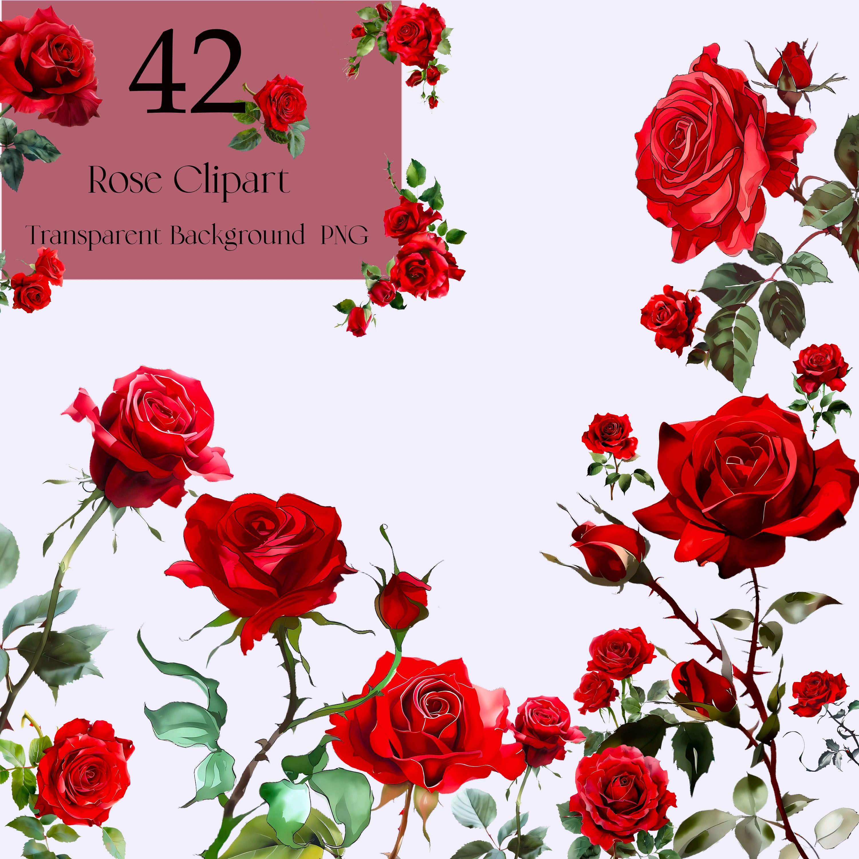 42 WATERCOLOR ROSES CLIPART Clipart Bloom Flowers Red Roses Watercolor ...