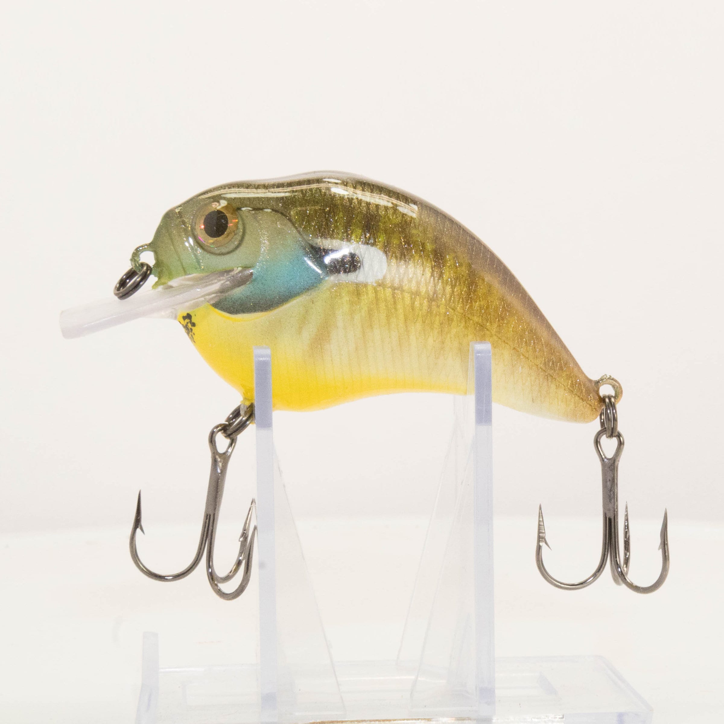 Bluegill. Premium Painted Wide Body Square Bill Crankbait - Etsy