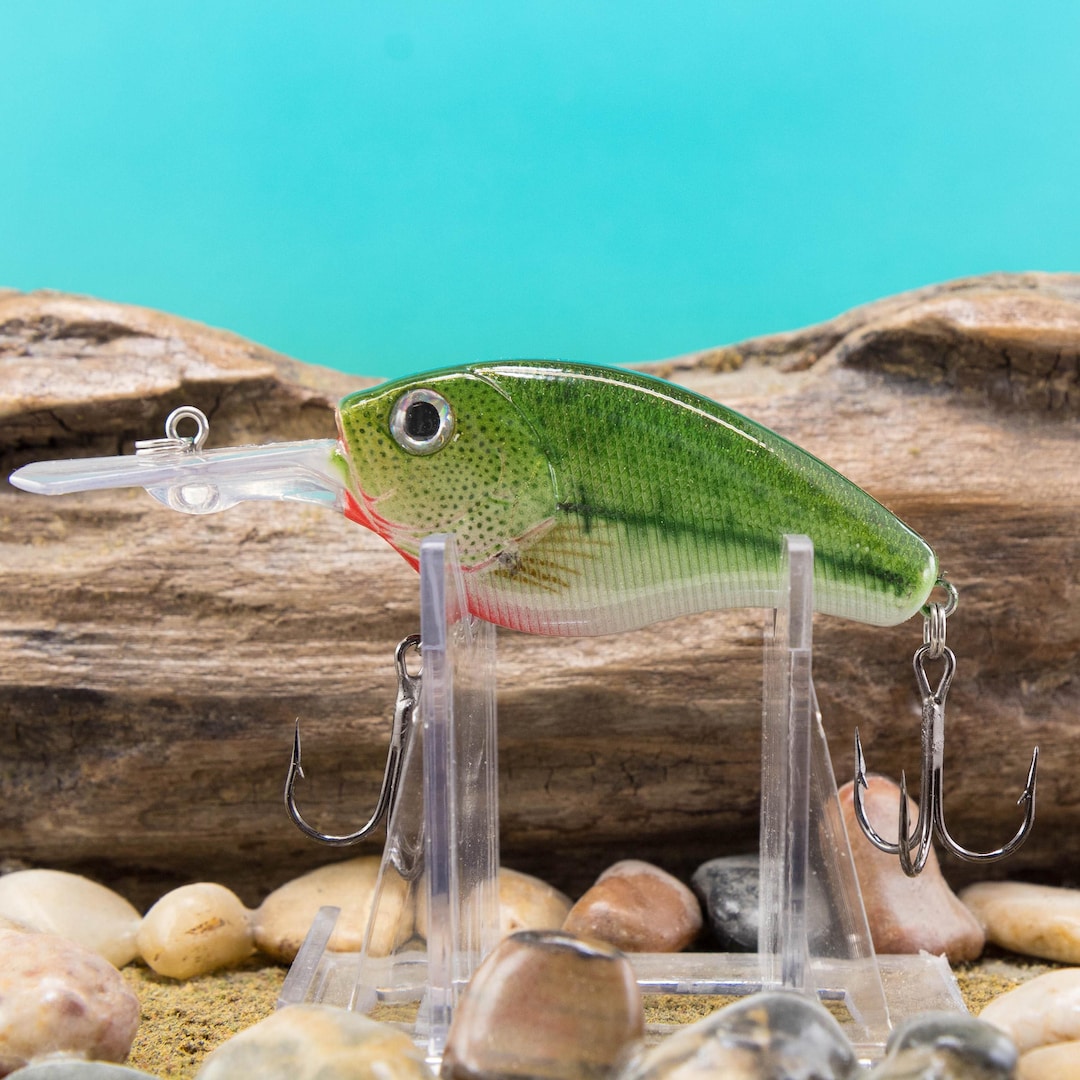 Largemouth Bass. Premium Painted Coffin Lid Diving Crankbait Fishing ...