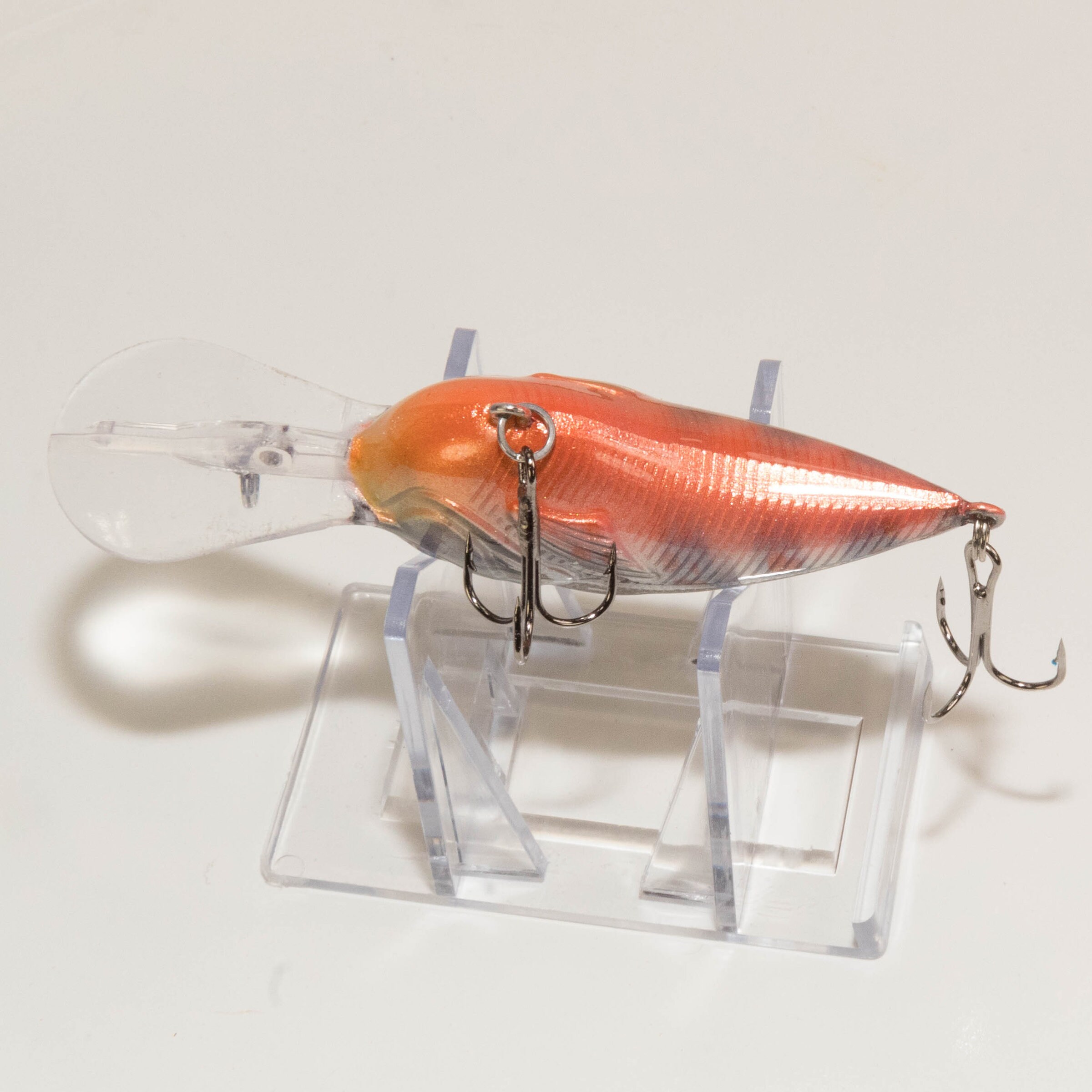 Orange Spotted Sunfish. Premium Custom Painted Diving - Etsy