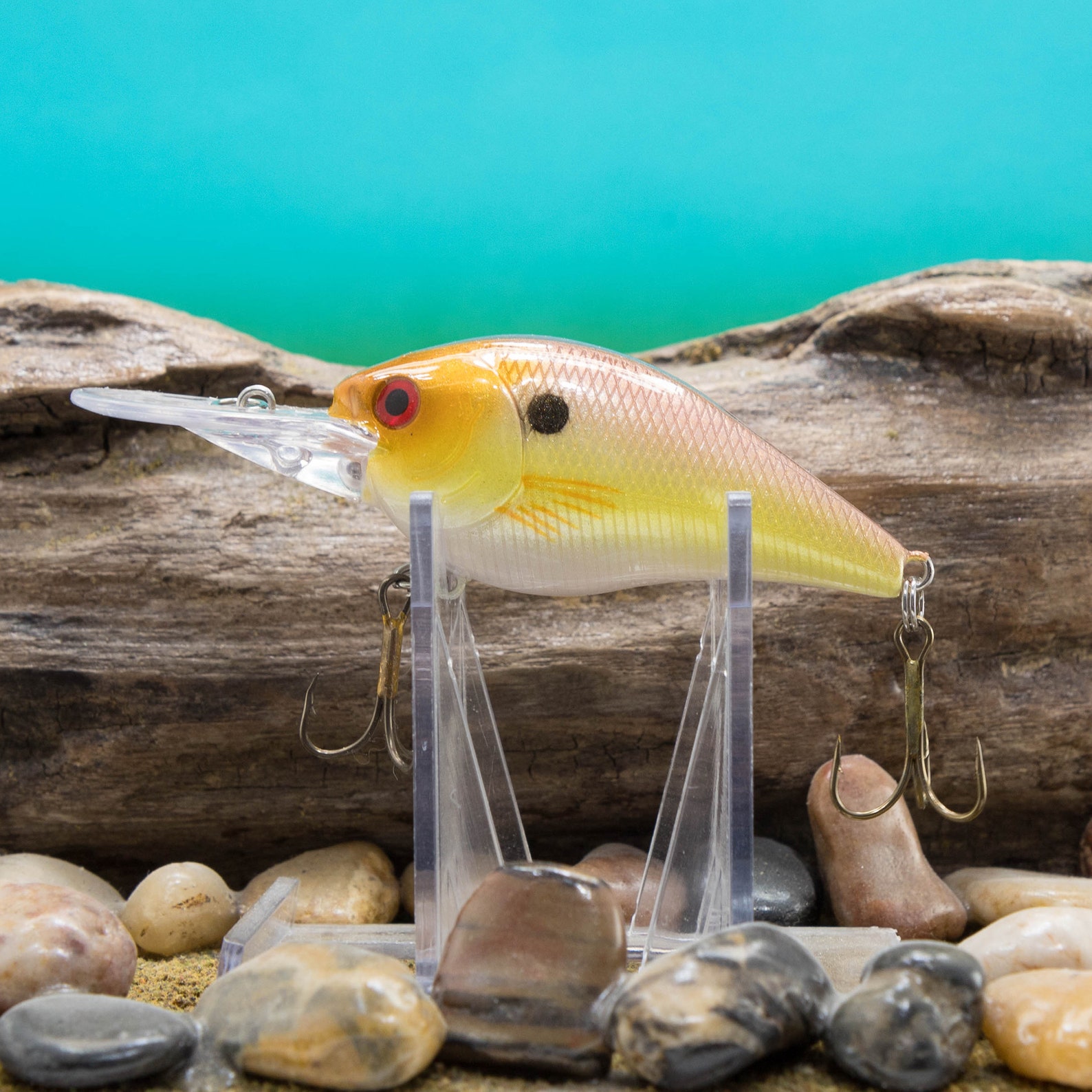 Sunburst Shad. Custom Painted Diving Crankbait Fishing Lure. - Etsy
