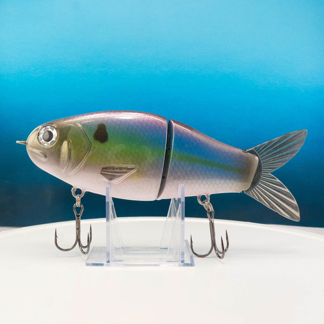 Threadfin Shad. Premium Painted Swimbait Fishing Lure. - Etsy