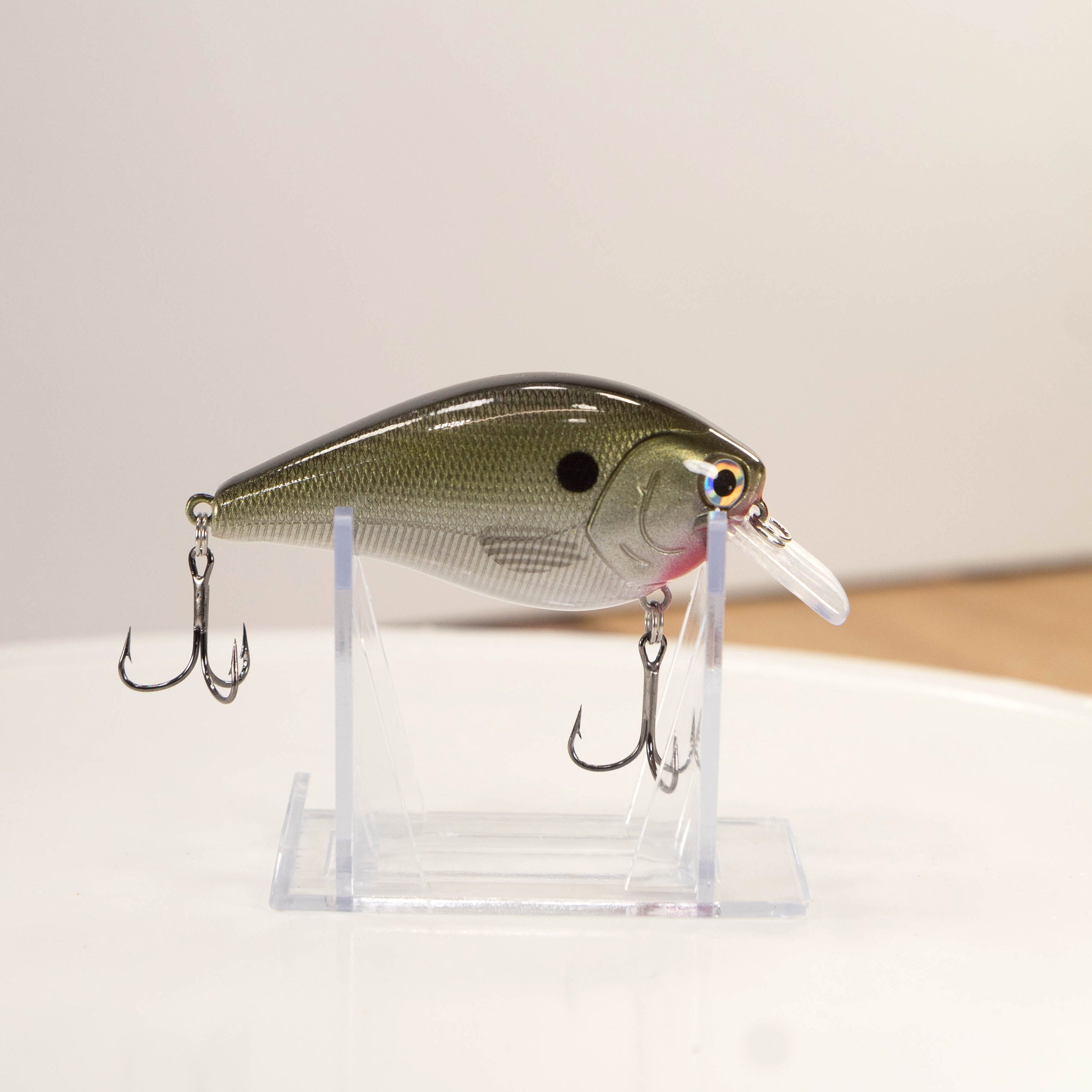 Custom Painted Crankbait Fishing Lure - American Gizzard Shad - Etsy